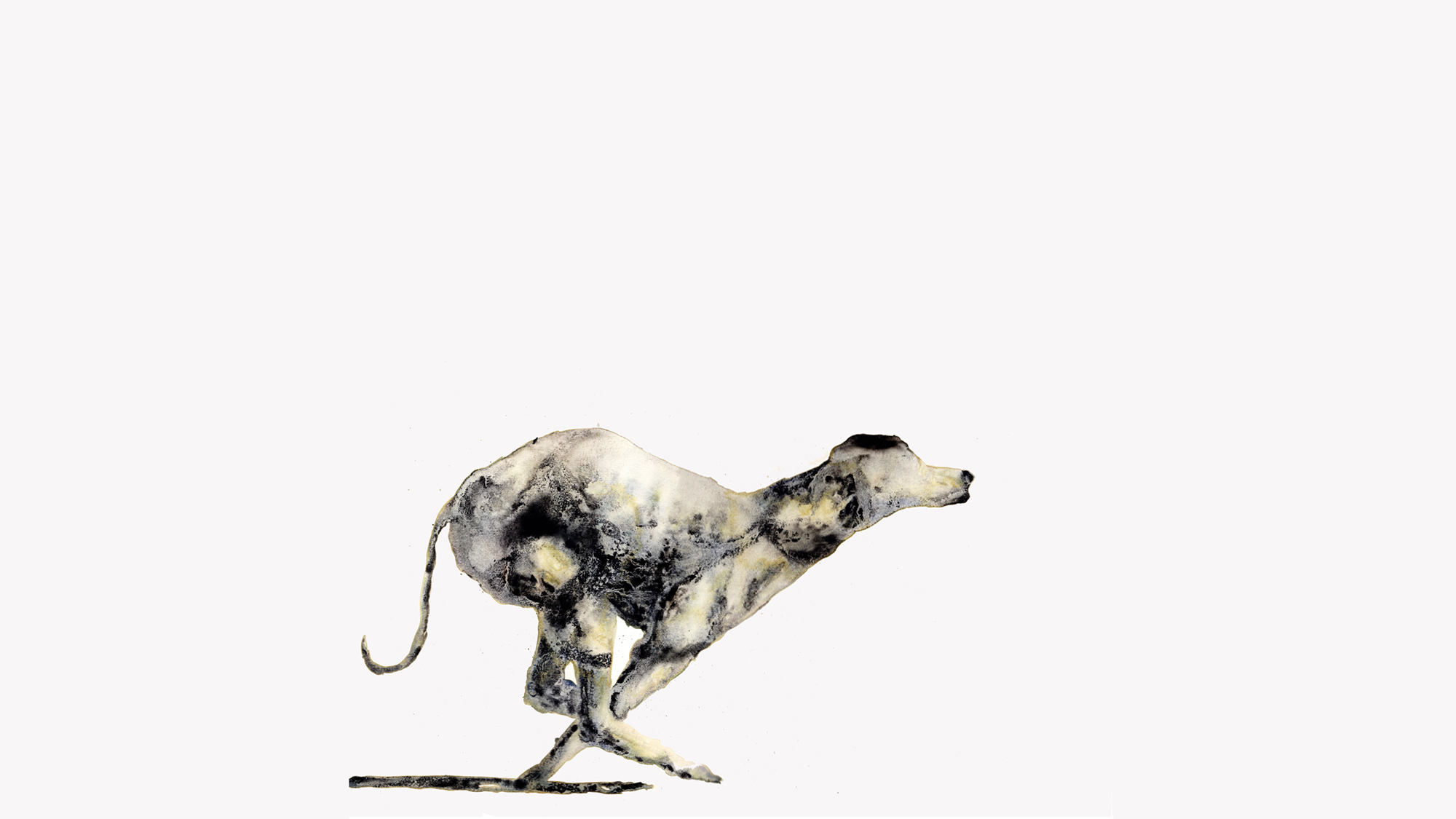 Beppe Stasi | Von Buren Contemporary